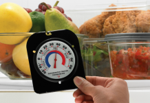 What temperature should your fridge and freezer be? | Best Buy Blog