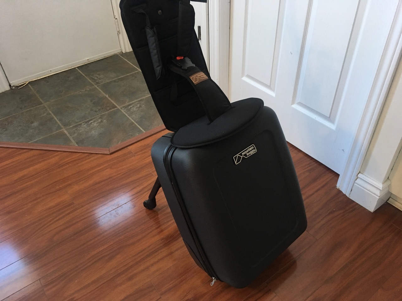 Mountain Buggy Bagrider review | Best Buy Blog