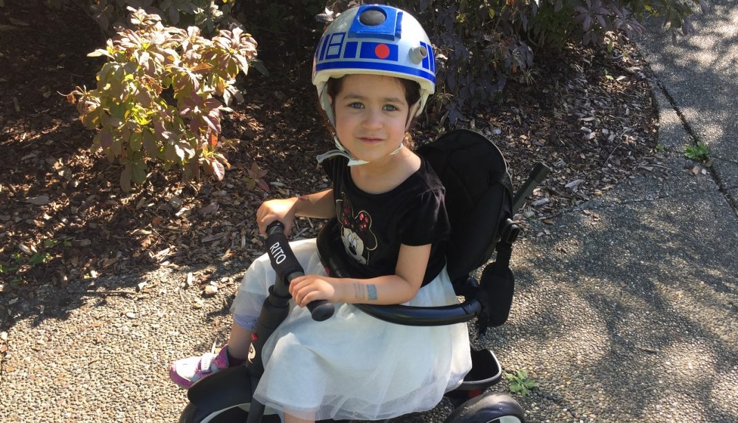 Rito Folding Trike Review | Best Buy Blog