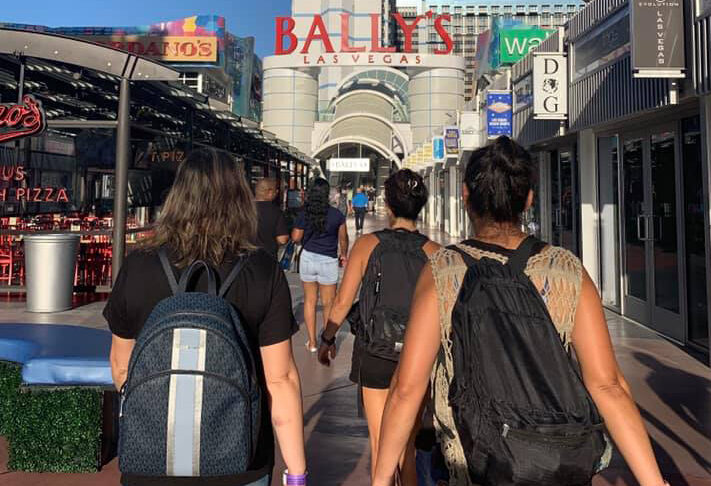 Verage Rome 24" Large Hardside Expandable Luggage review