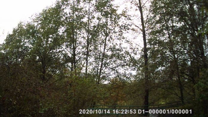 Rexing P1 body camera review | Best Buy Blog