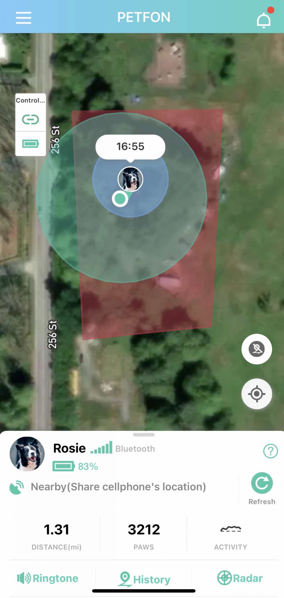 PetFon dog activity real time tracker review | Best Buy Blog