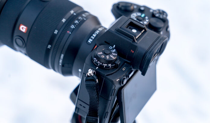 Sony Alpha 1 camera review | Best Buy Blog