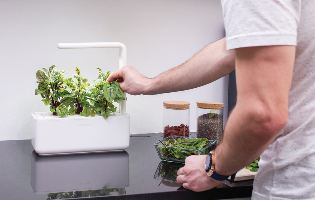 A beginner's guide to successful smart gardening and composting at home ...